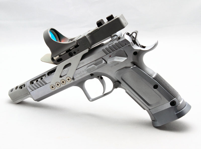 Tanfoglio optics mount